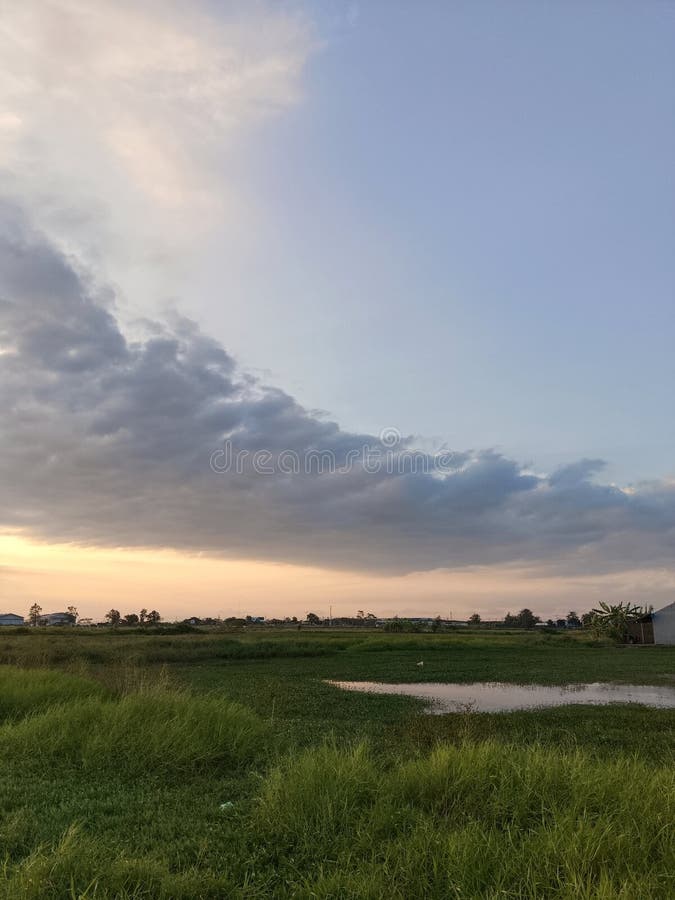Sunset View from the Corner of a Rice Field in a Beautiful Countryside ...