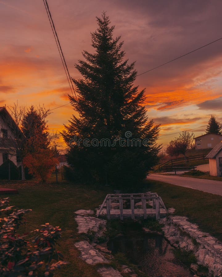 Sunset View in the Countryside with a Fire Tree and Houses Around Stock ...