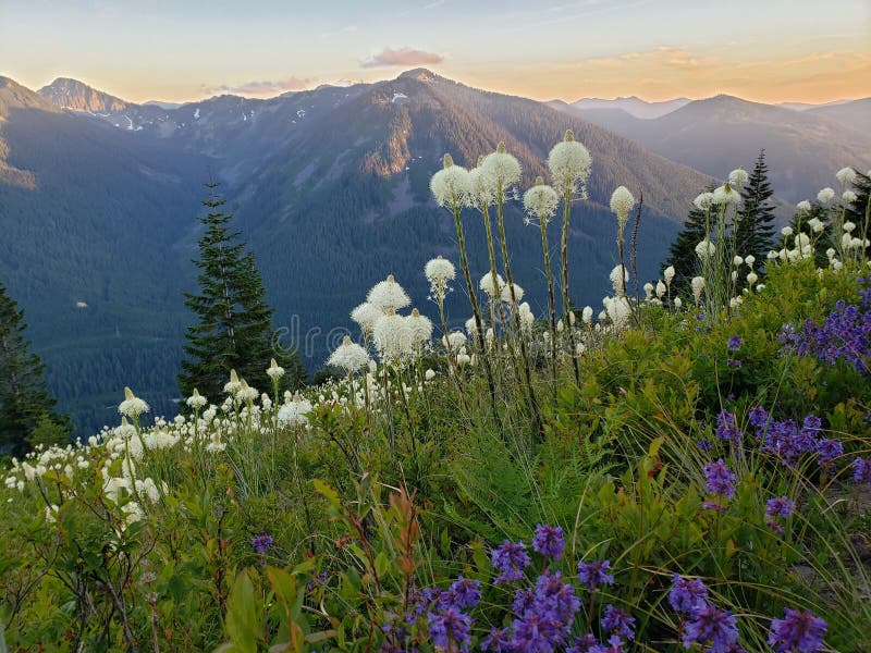 Granite Mountain in Spring Time Stock Photo - Image of spring ...