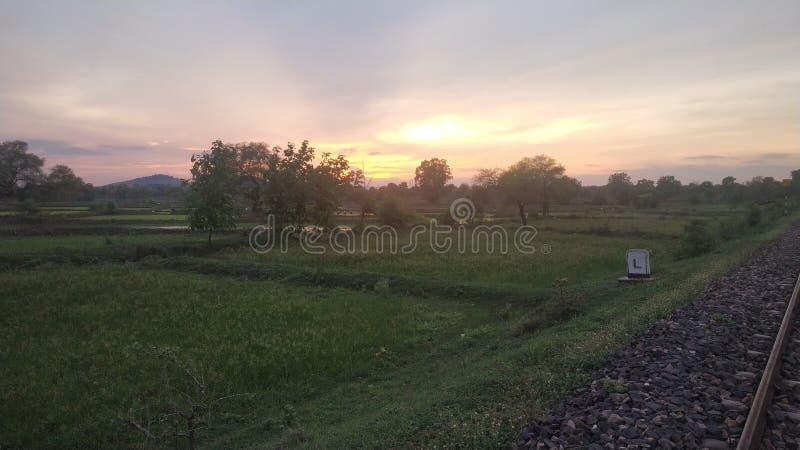 Sunset View in Indian Grassy Farm in Monsoon Evening Stock Photo ...