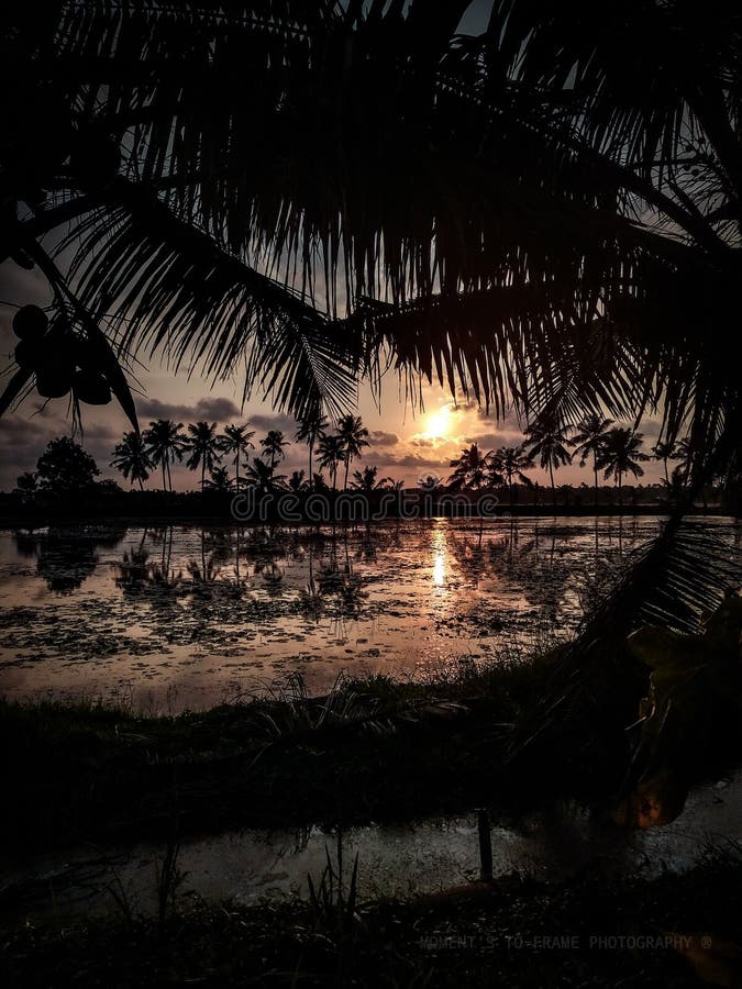 A Sunset View of Kerala Evening Stock Image - Image of sunset, dusk ...