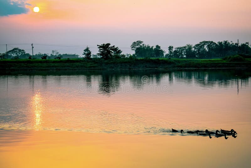Sunset View on the Lakeside Stock Image - Image of evening, horizontal ...