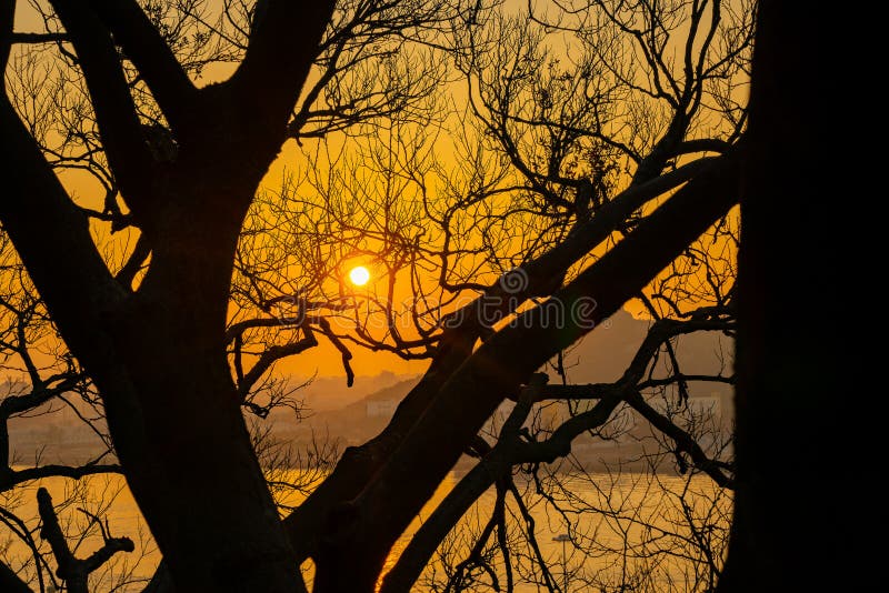 Sunset View of Landscape with Tree Shadow and Sun Stock Image - Image ...
