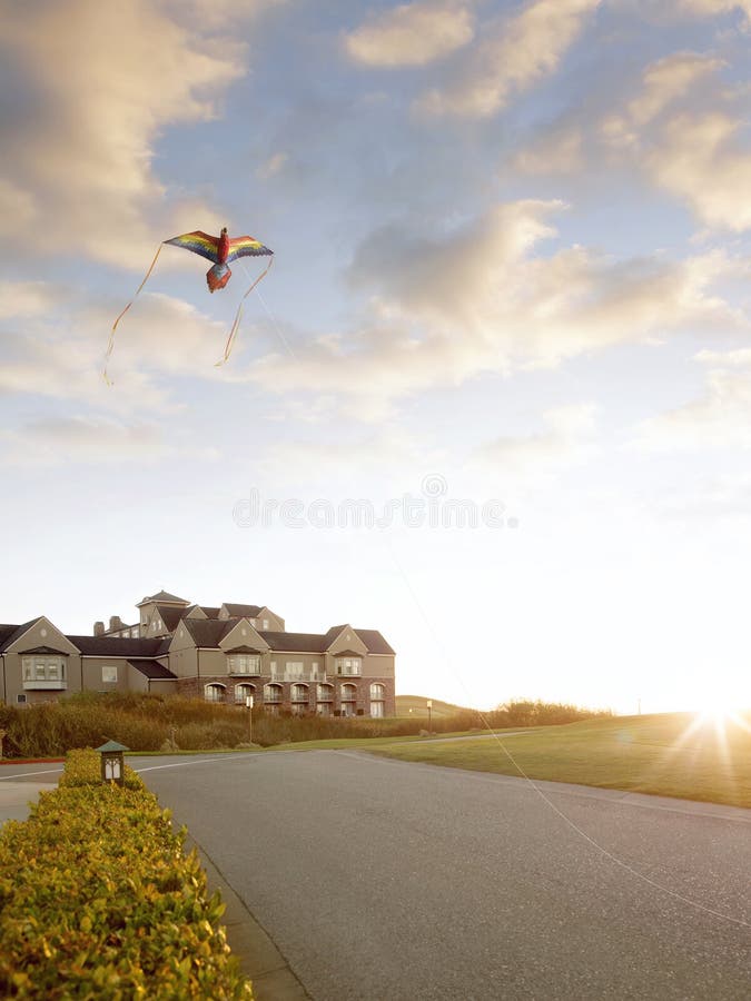 Nice Countryside Garden from Romania Stock Image - Image of flower ...