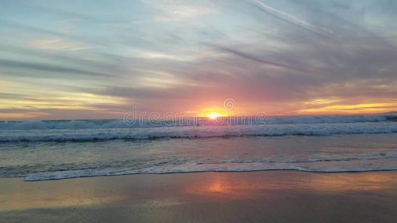 Sunset View on the Ocean Beach with Birds 4k Stock Video - Video of ...