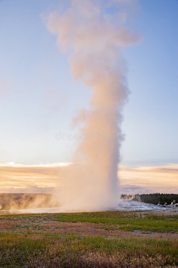 Sunset View of the Old Faithful Geyser Stock Image - Image of wyoming ...