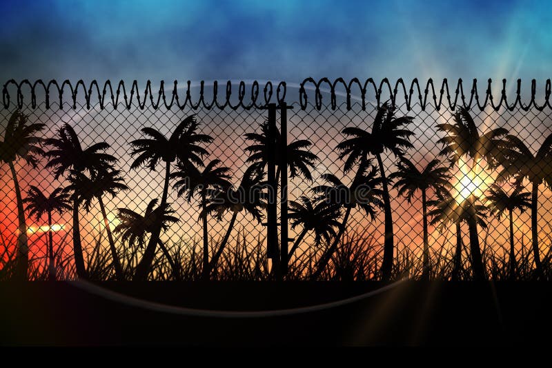Sunset View with Palm Trees and Fence in Front Stock Illustration ...