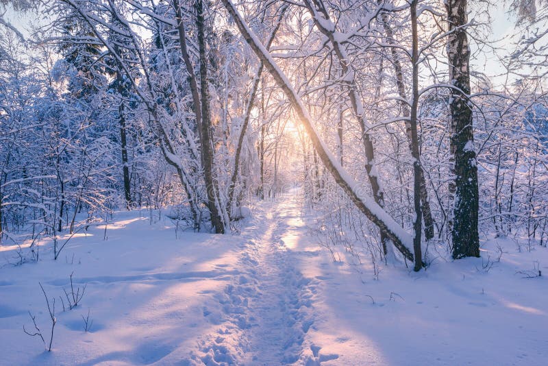 Sunset view of the path. stock image. Image of cold - 109397463
