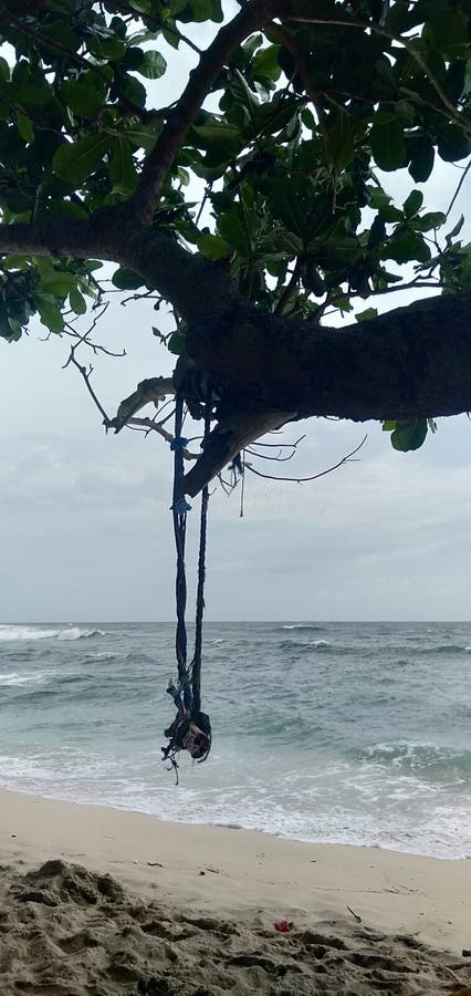 Beach view nature look stock photo. Image of ocean, wave - 238801768