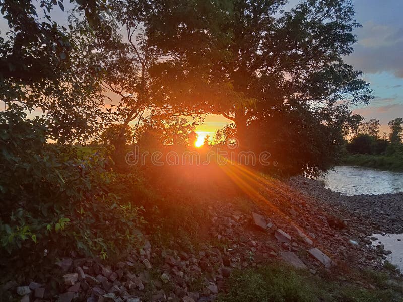 Sunset View Tree Green Nature Water Stock Photo - Image of dawn, view ...