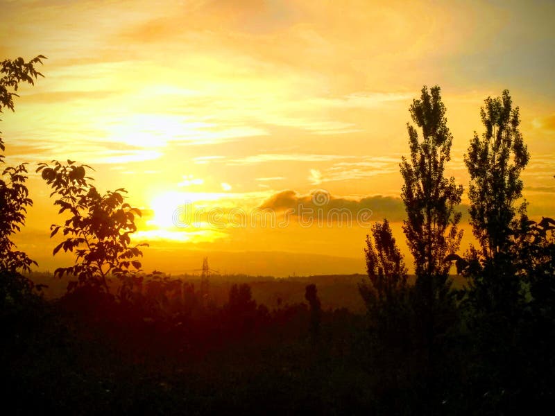 Sunset view and trees stock photo. Image of view, yellowish - 209781236