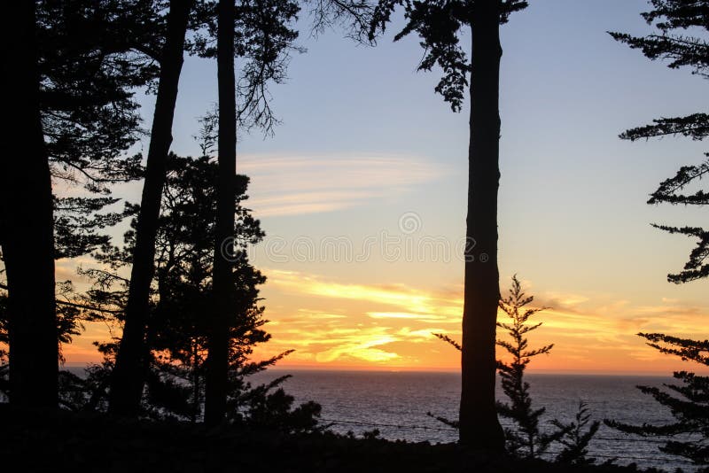 Sunset View through Trees Over the Pacific Ocean Stock Photo - Image of ...