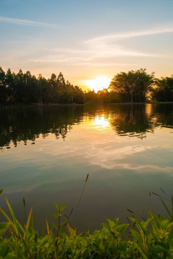 Sunset View with Trees and Sky Reflecting in the Lake Stock Image ...
