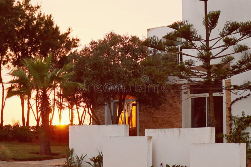 Sunset view through trees stock photo. Image of sunlight - 148129766