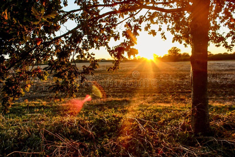 Sunset views stock image. Image of fields, sunset, views - 136086775