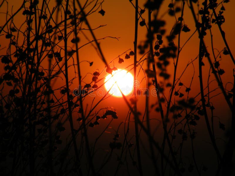 Sunset village stock image. Image of colors, scenics - 66003257