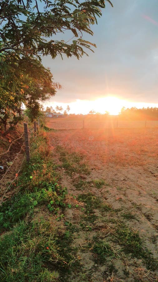 Sunset in Village Captured with Greenary Stock Photo - Image of village ...