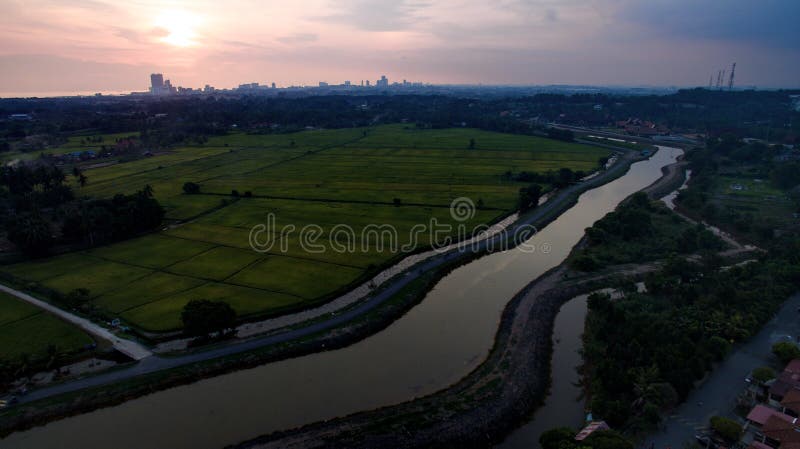 Sunset stock photo. Image of field, sunset, sawah, environments - 81132314