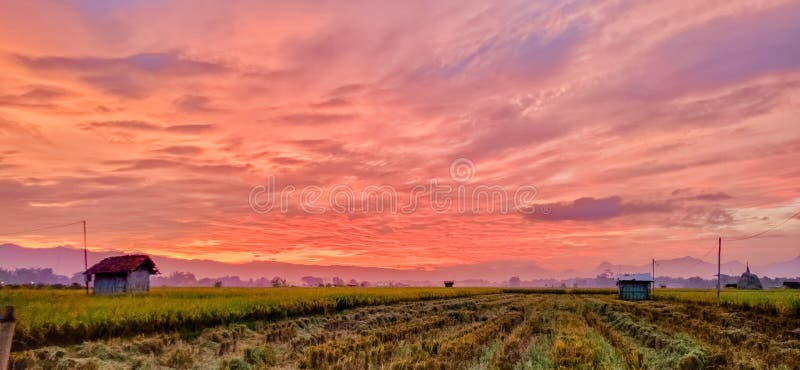 Sunset in the Village of Rice Farm Stock Image - Image of afterglow ...