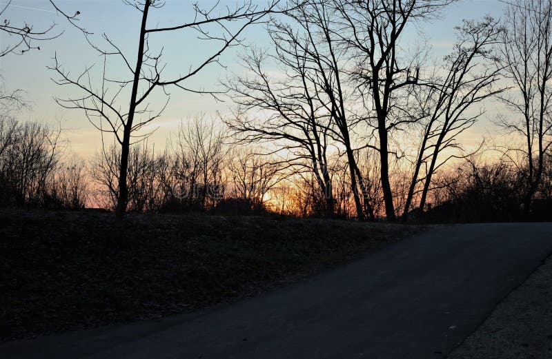 Sunset Visible through Tree Branches Stock Photo - Image of cloud, next ...