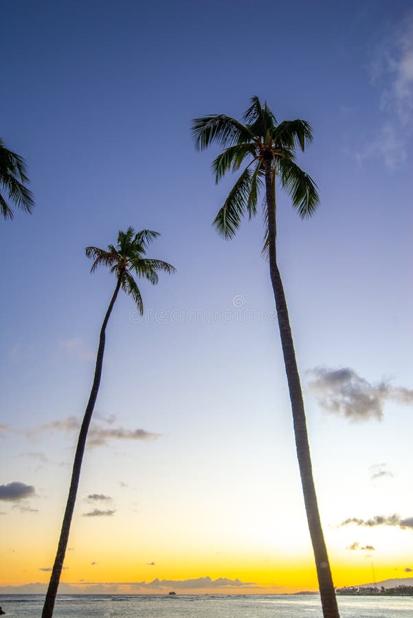 Sunset at Waikiki Beach on Oahu Hawaii Stock Image - Image of pacific ...