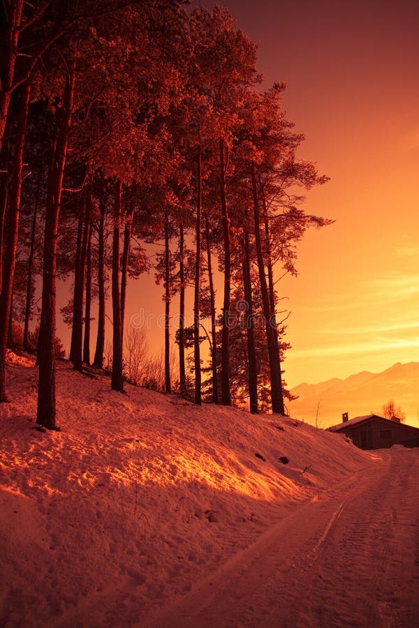 Snowmobile Sunset stock photo. Image of light, orange - 1881182