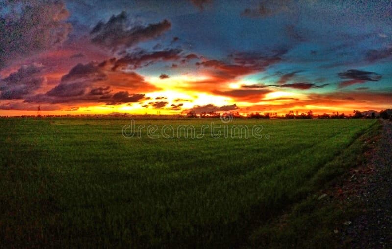 Sunset wallpaper for phone stock photo. Image of dawn - 222703858