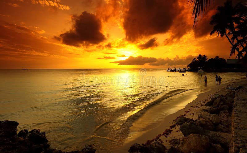 Sunset stock photo. Image of caribbean, shore, trees - 57750394
