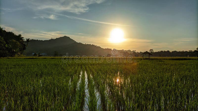 Sunset on the Western Horizon of the Village with Beautiful and Green ...