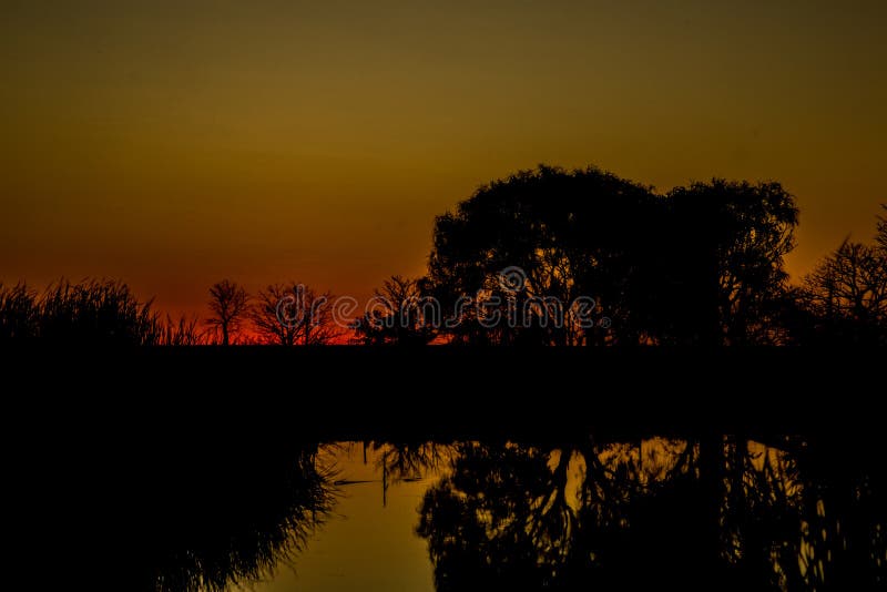 Sunset stock photo. Image of sunlight, tree, morning - 78407656