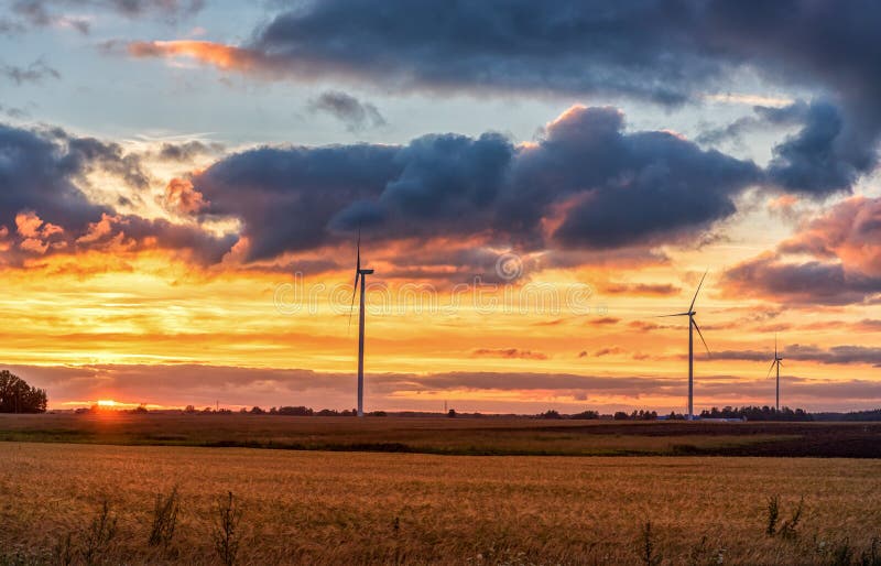 Sunset and Wheat Field with Windmill in Background. Stock Photo - Image ...