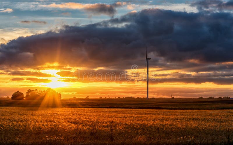 Sunset and Wheat Field with Windmill in Background. Stock Image - Image ...