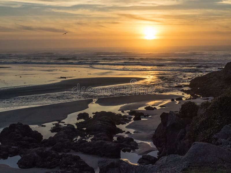 Sunset on a wide beach stock photo. Image of evening - 66633352