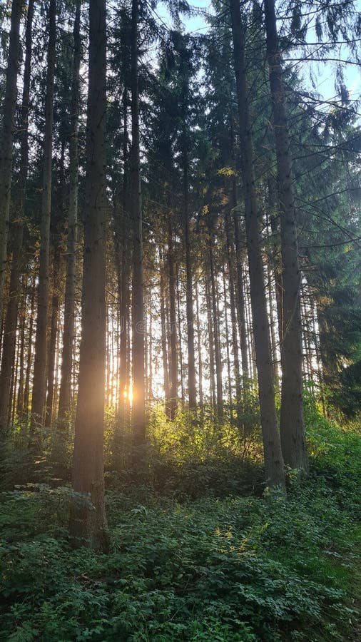 Kelberg Germany Stock Photos - Free & Royalty-Free Stock Photos from ...