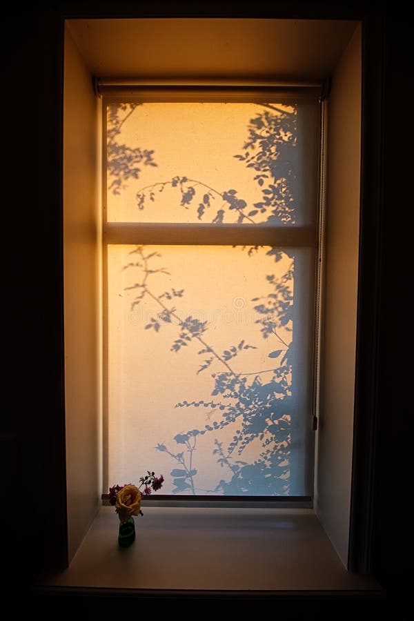 Spring window stock photo. Image of spring, interior, wooden - 682864