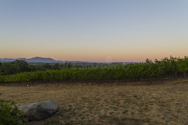 Sunset at a winery stock image. Image of country, pretty - 91936629