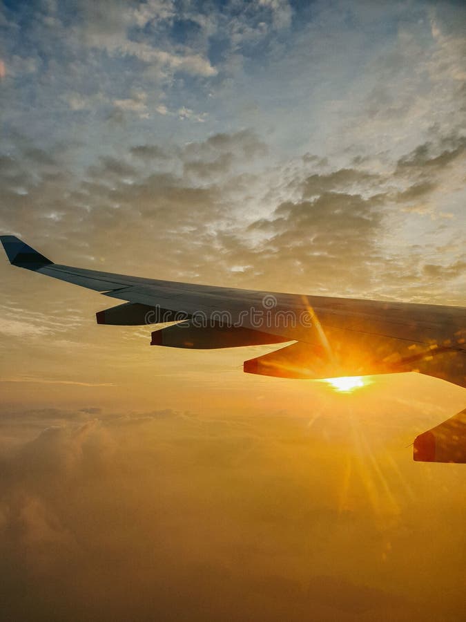 Sunset Wing stock photo. Image of airplane, sunrise - 170008404
