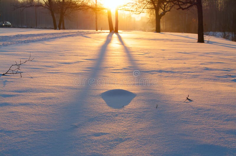 Sunset in winter stock image. Image of evening, fresh - 37121403