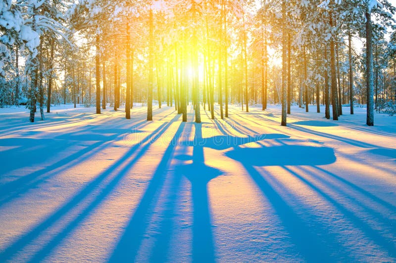 Sunset with long shadows. stock image. Image of snow - 17713853