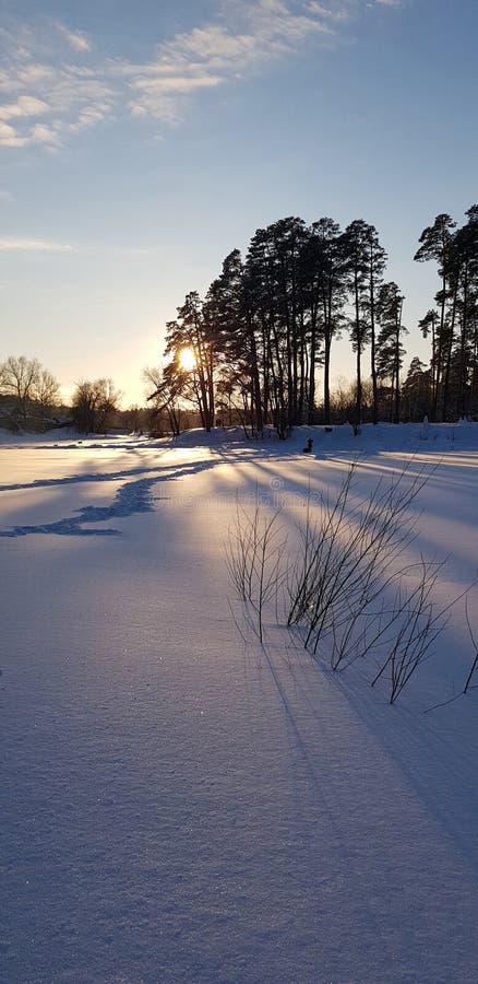 Sunset in Winter and Long Shadows from Trees Stock Image - Image of ...
