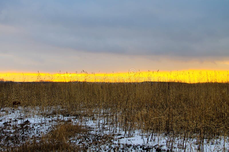 Sunset on the Winter Meadow Stock Photo - Image of december, dawn ...