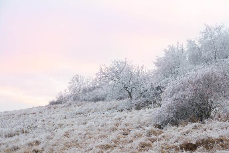 Sunset in Winter Snow Countryside Stock Image - Image of scenery ...
