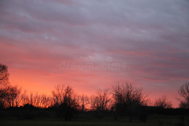 Sunset in the woods stock image. Image of light, park - 63787945