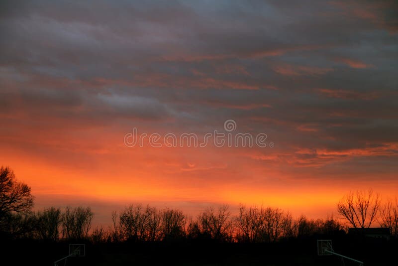 Sunset in the woods stock image. Image of light, park - 63787945