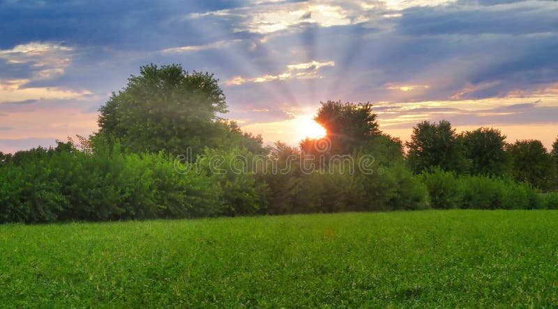 Sunset with a Yellow Sun and Sun Rays Thru Trees. Stock Photo - Image ...