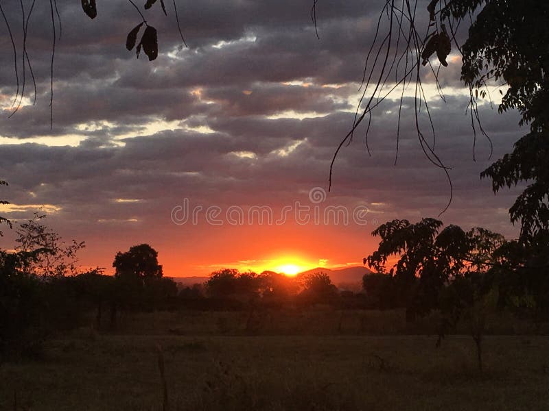 Sunset on a Zimbabwean Farm Stock Photo - Image of africa, farm: 173353878
