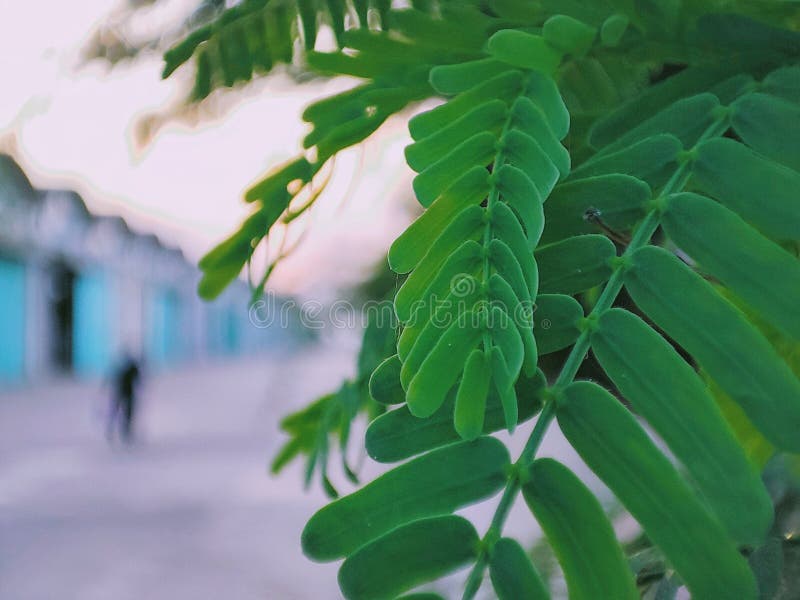 When Sunsets Everything Changes it& X27;s Color. Stock Image - Image of ...