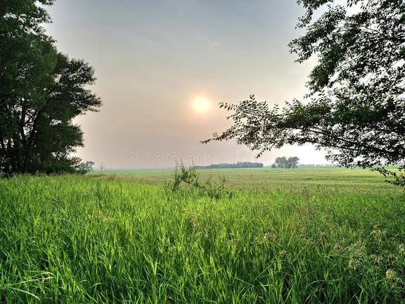 Sunset over flat lands stock photo. Image of grass, sunsetting - 399837264