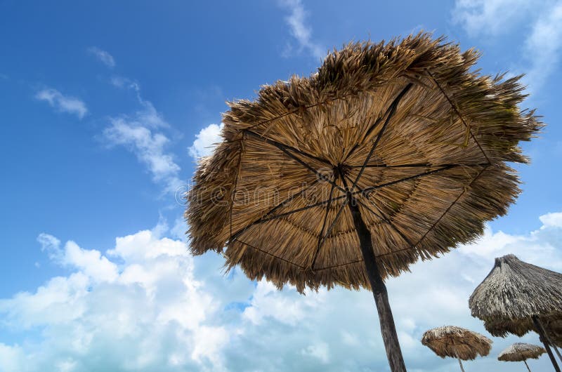 Umbrellas from the Sun Made of Natural Materials and Sun Loungers on ...