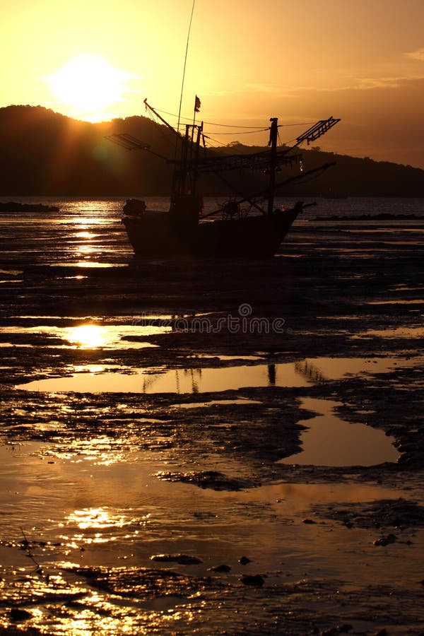 Sunshine Free Stock Photos & Pictures, Sunshine Royalty-Free and Public ...